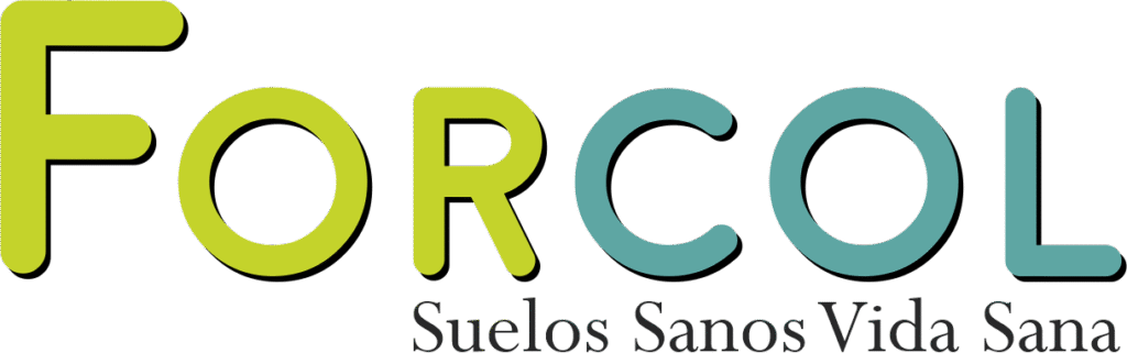 Inicio