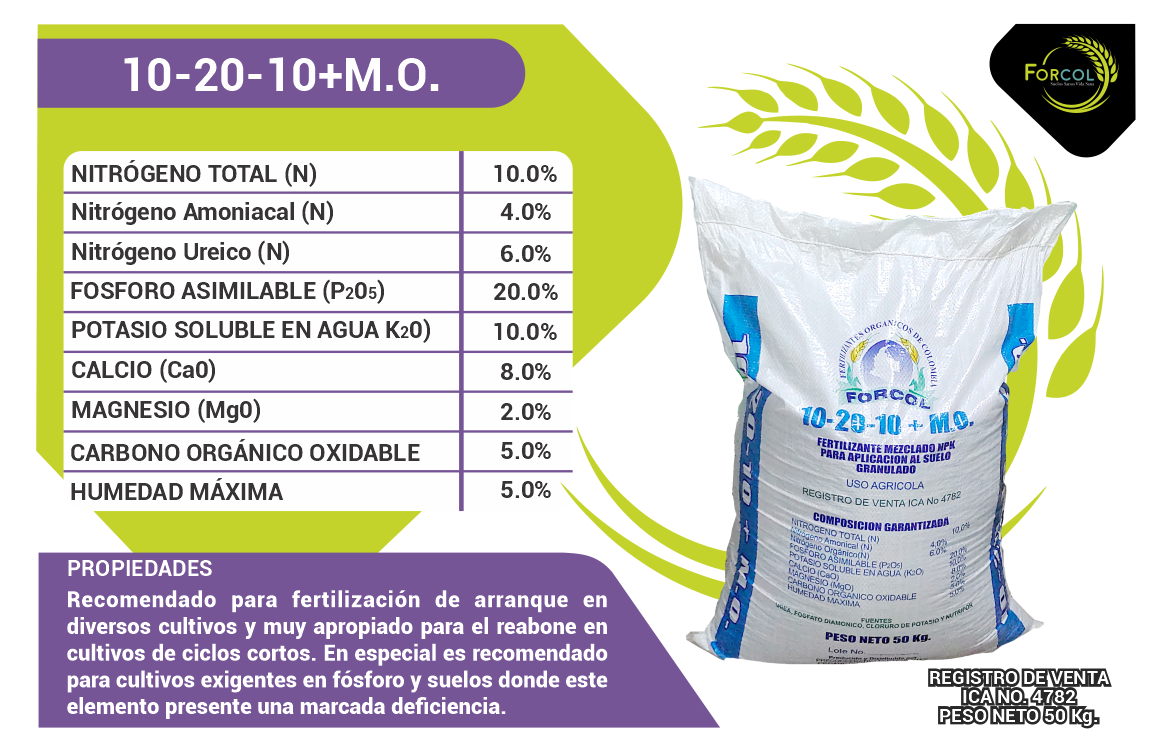 Inicio